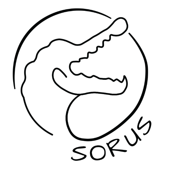 East Coast – sorus.com.au